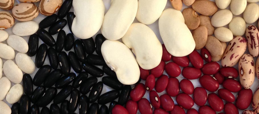 Matariki – a time for garden plans | Christchurch City Libraries Ngā ...