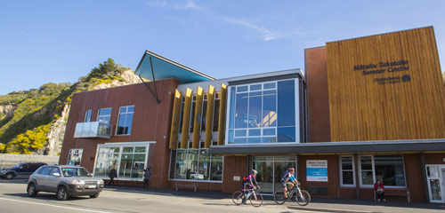 About Matuku Takotako: Sumner Centre | Christchurch City Libraries Ngā ...